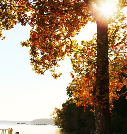 Lisa Jorgensen Photography | Making Life Blissful