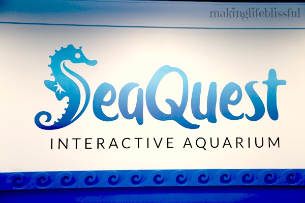 Sea Quest Interactive Museum and Aquarium Travel Review | Making Life ...