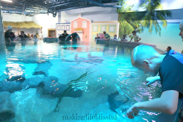 Sea Quest Interactive Museum and Aquarium Travel Review | Making Life ...