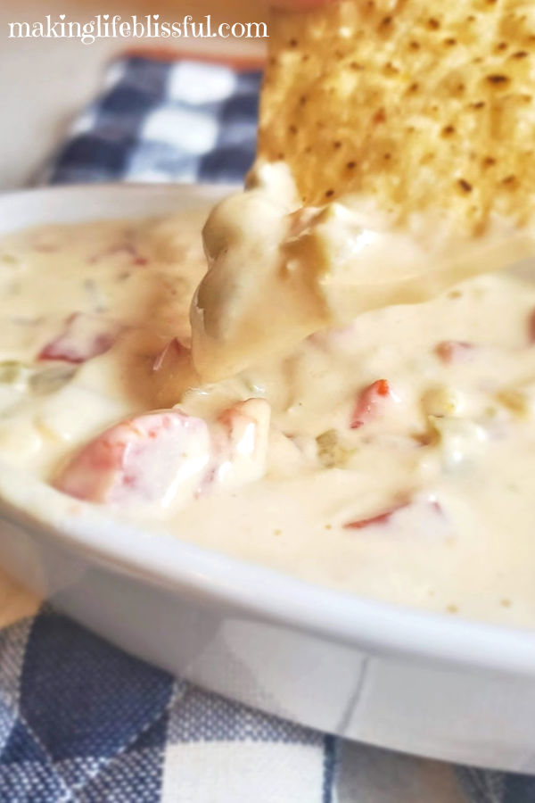 Killer Three Cheese Queso Dip | Making Life Blissful